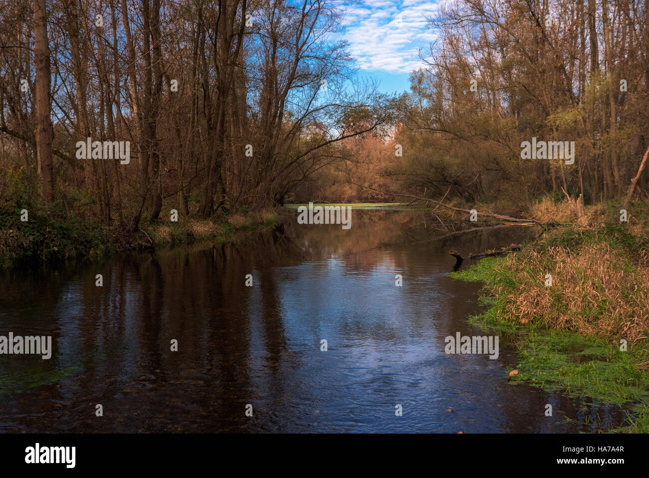 wonderful views of the Ticino river and the forest Stock Photo - Alamy