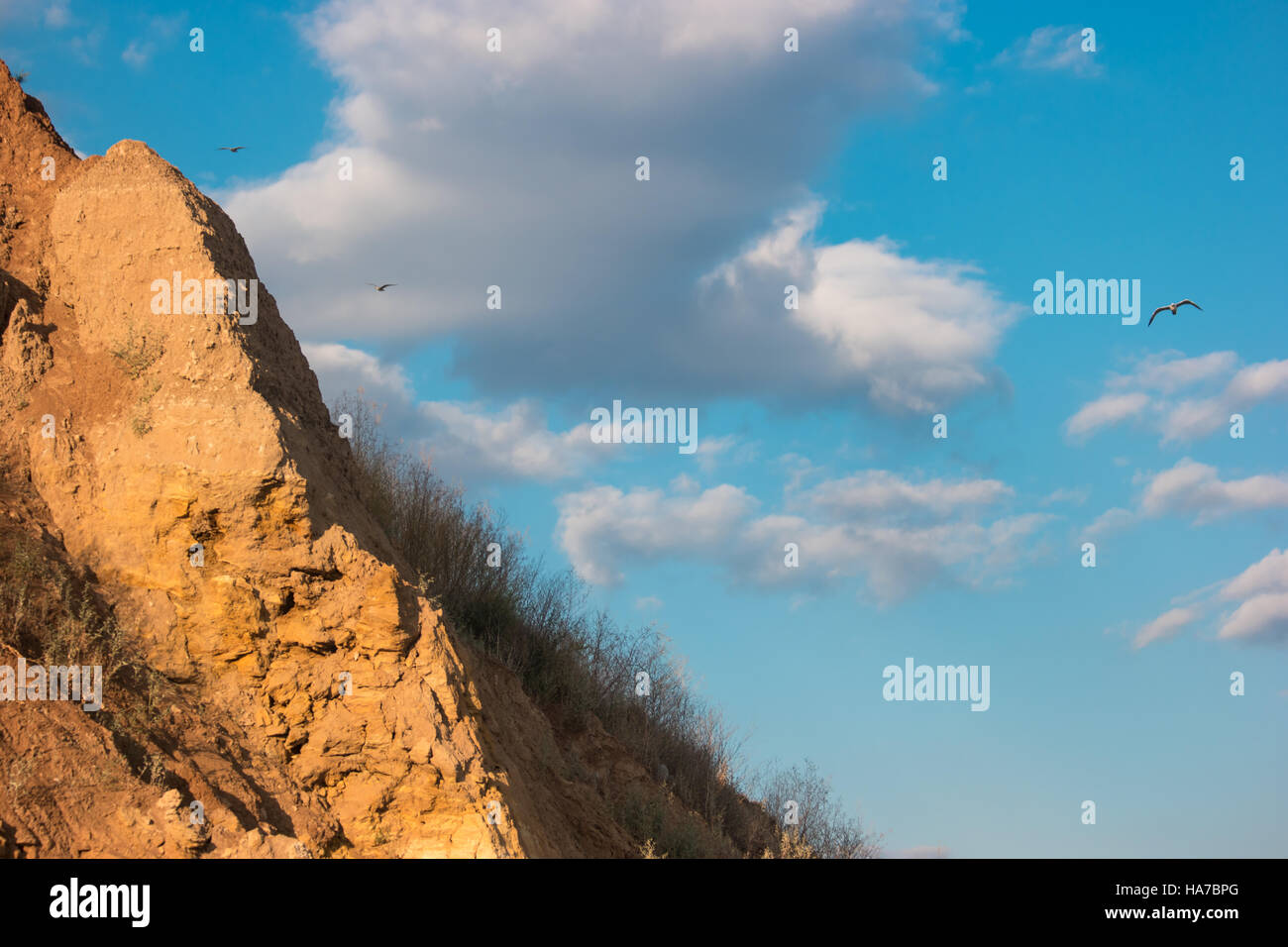 Birds flying near a mountain Stock Photo - Alamy