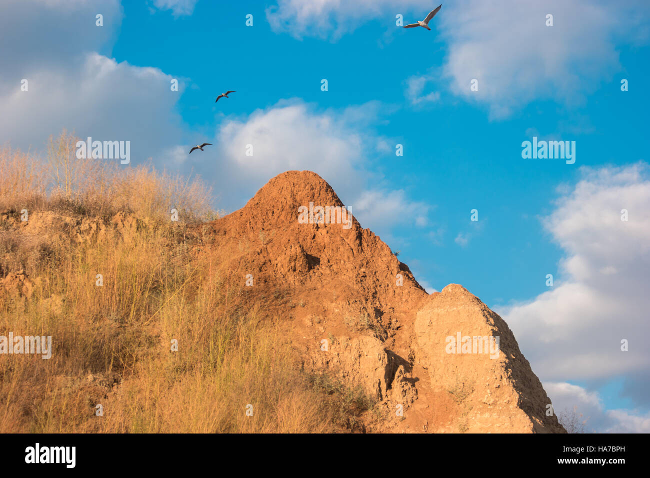 Birds flying over mountain Stock Photo - Alamy