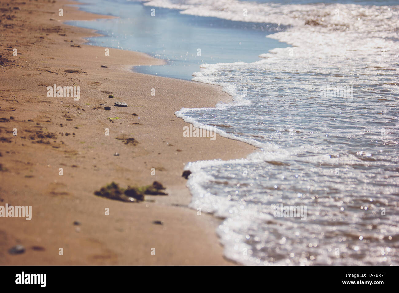 Foamy water on shore Stock Photo - Alamy