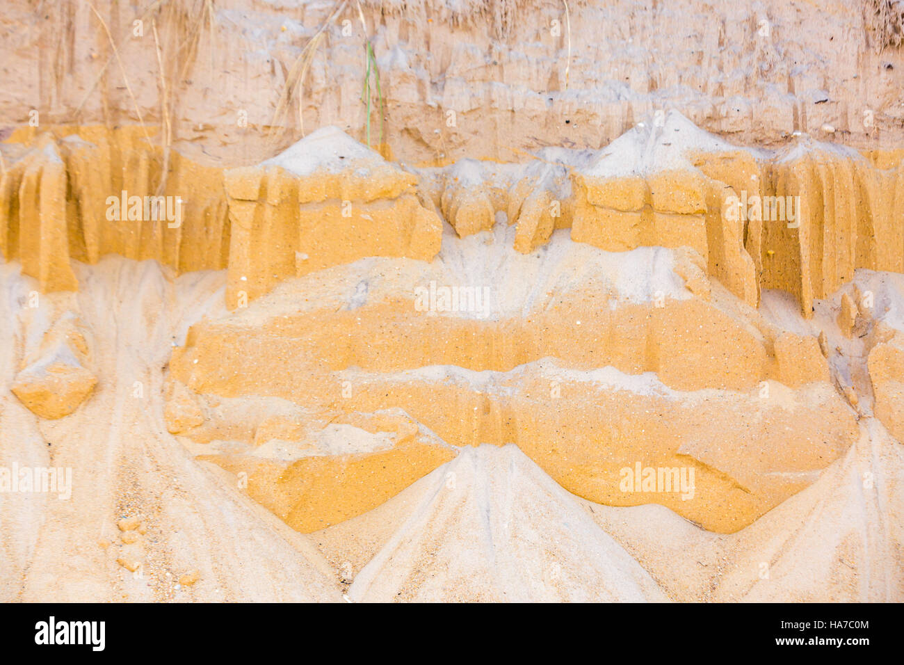 Detail of an exposed wall of sand steadily succumbing to gravity Stock ...
