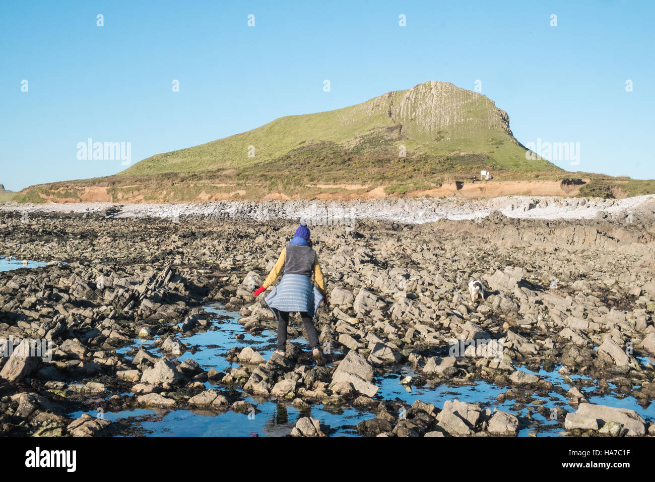 Geology,rocks at causeway over to Worms Head,Gower.Rhossilli,Bay,beach ...