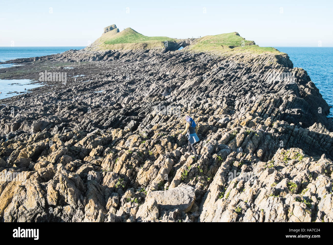 Geology,rocks at causeway over to Worms Head,Gower.Rhossilli,Bay,beach ...