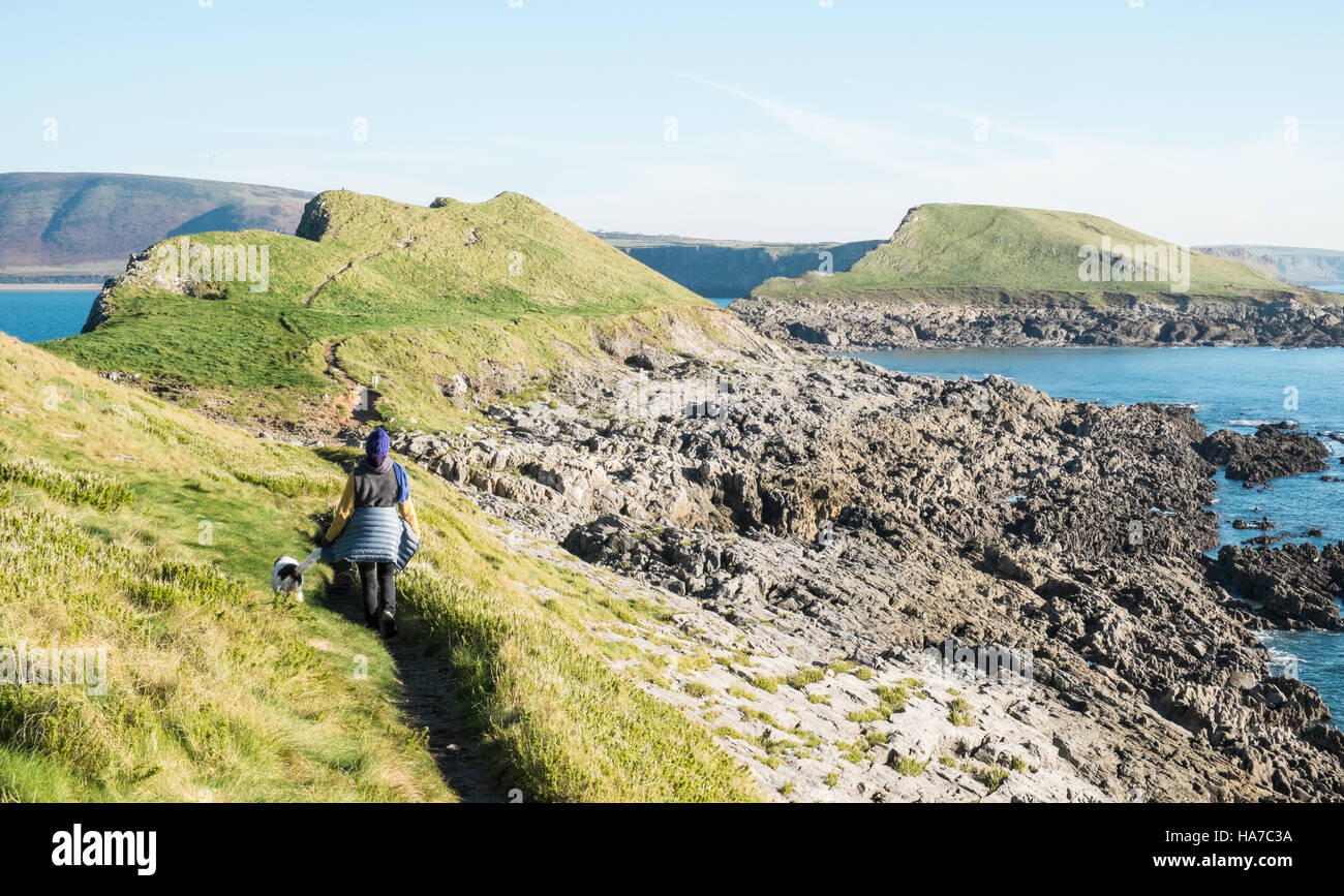 Geology,rocks at causeway over to Worms Head,Gower.Rhossilli,Bay,beach ...