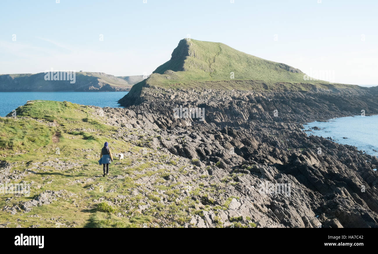 Geology,rocks at causeway over to Worms Head,Gower.Rhossilli,Bay,beach ...