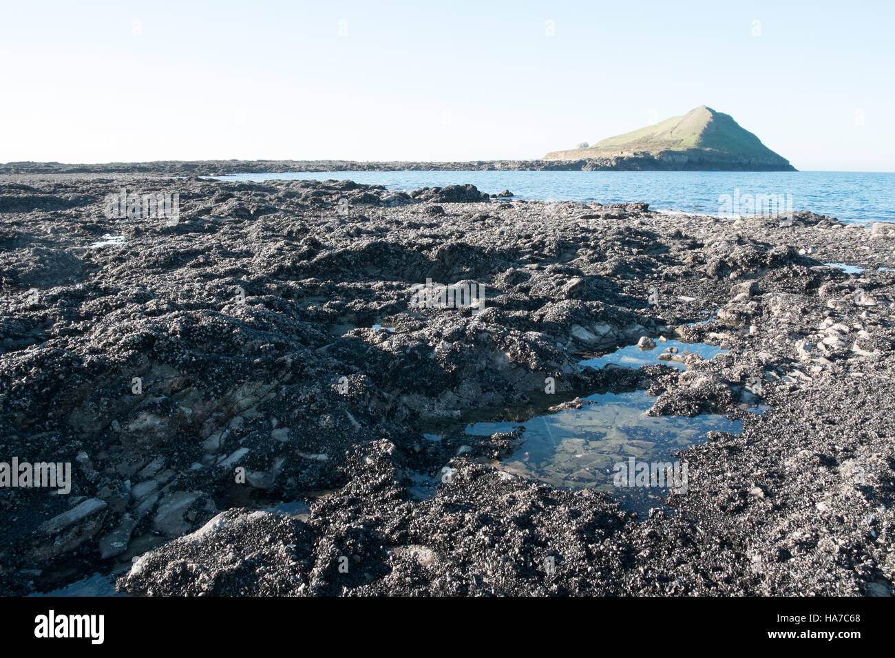 Geology,rocks at causeway over to Worms Head,Gower.Rhossilli,Bay,beach ...