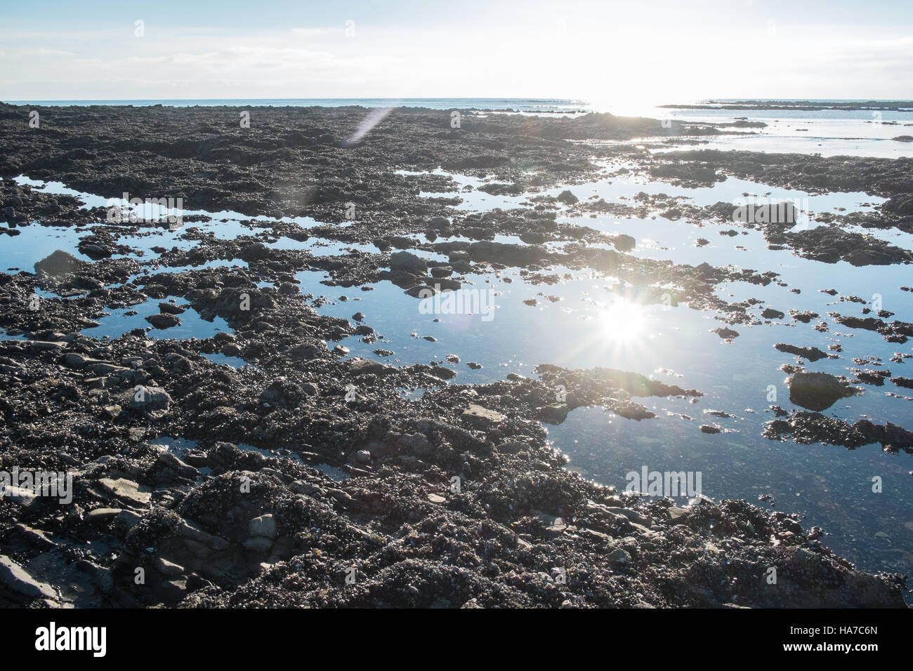 Geology,rocks at causeway over to Worms Head,Gower.Rhossilli,Bay,beach ...