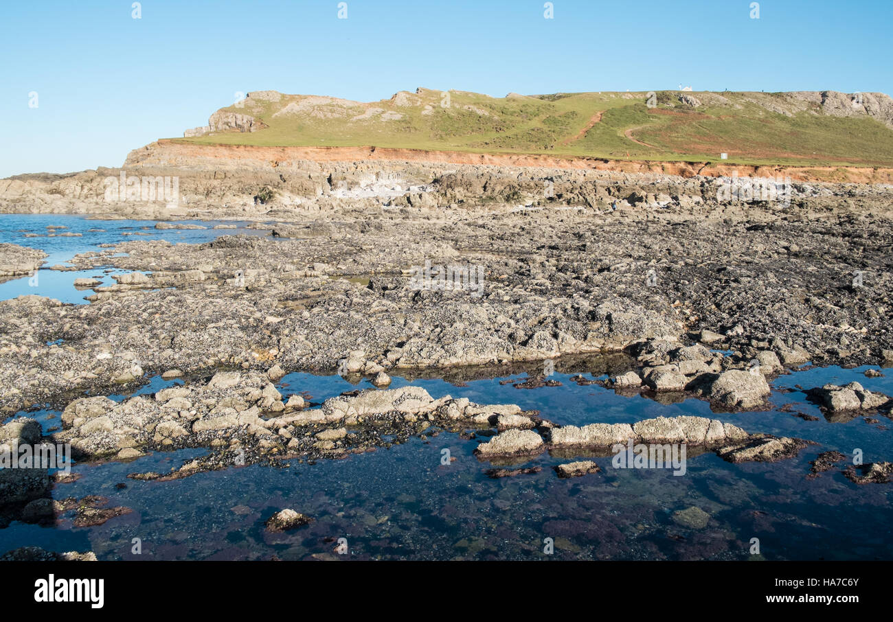 Geology,rocks at causeway over to Worms Head,Gower.Rhossilli,Bay,beach ...