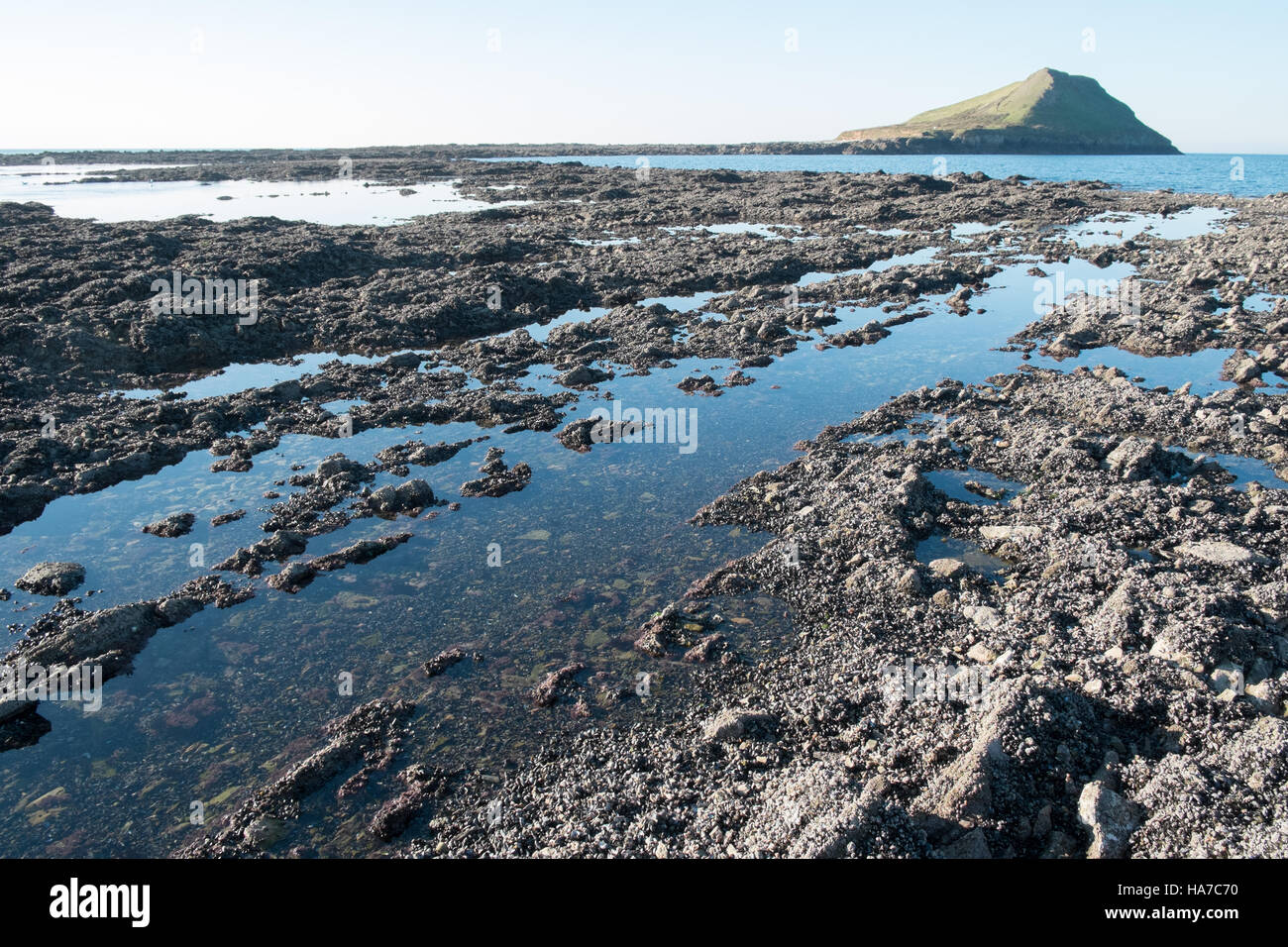 Geology,rocks at causeway over to Worms Head,Gower.Rhossilli,Bay,beach ...