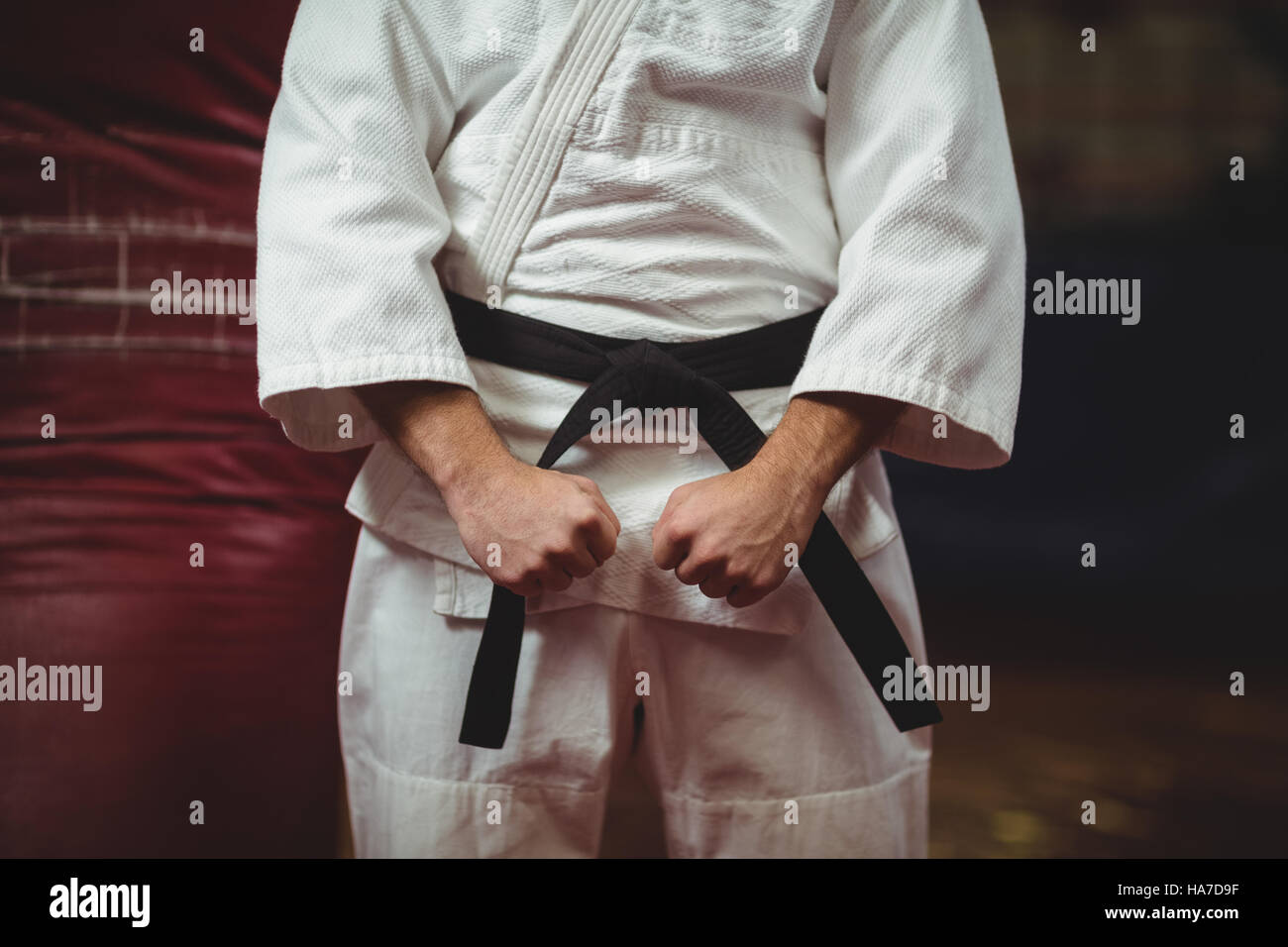 Mid section of karate player making fist Stock Photo - Alamy