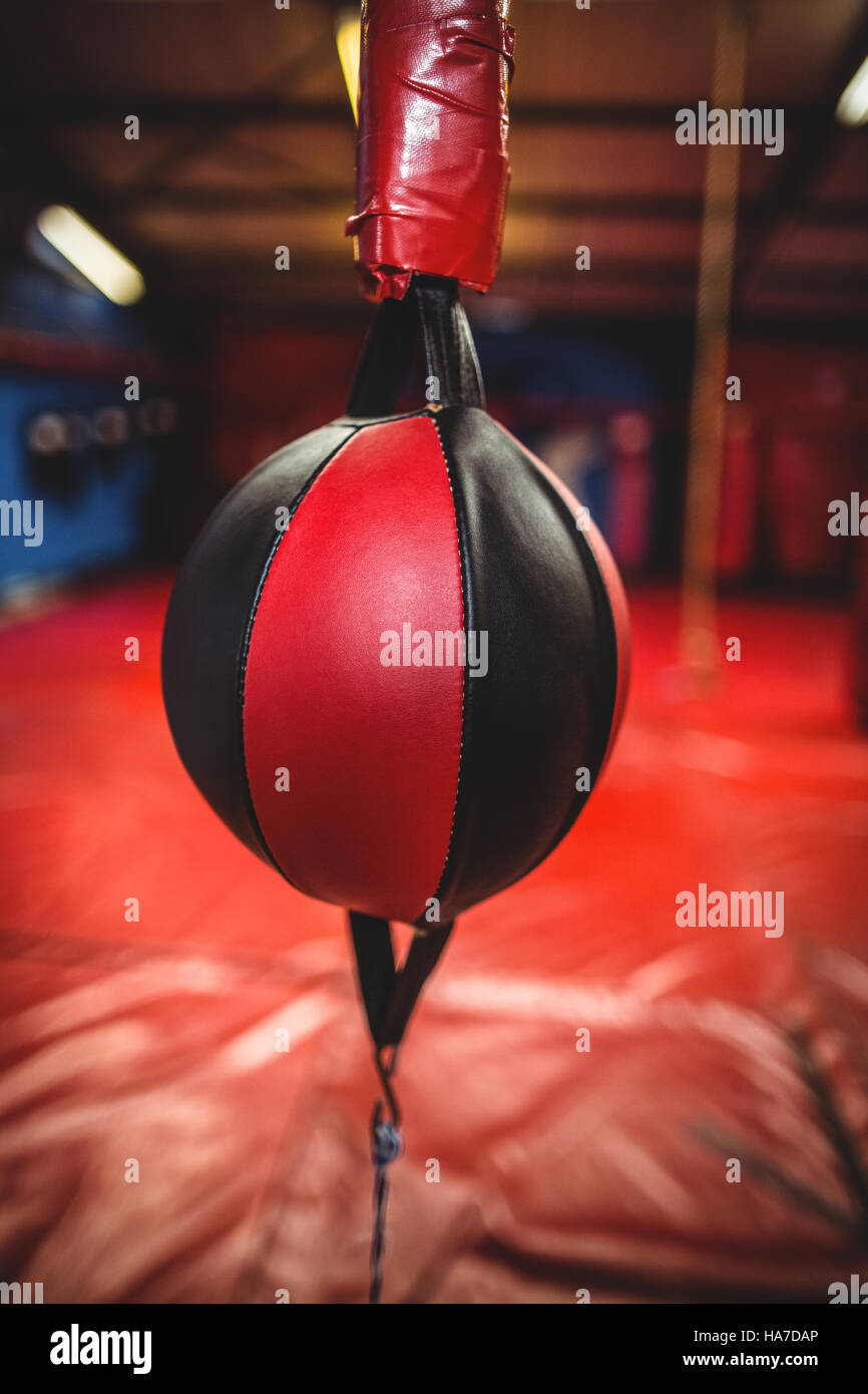Speed boxing ball hi-res stock photography and images - Alamy
