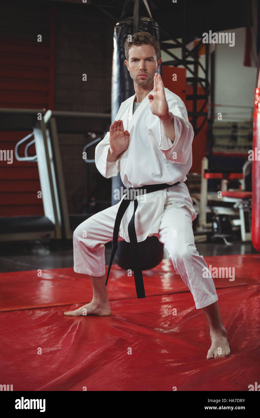 Karate player performing karate stance Stock Photo - Alamy