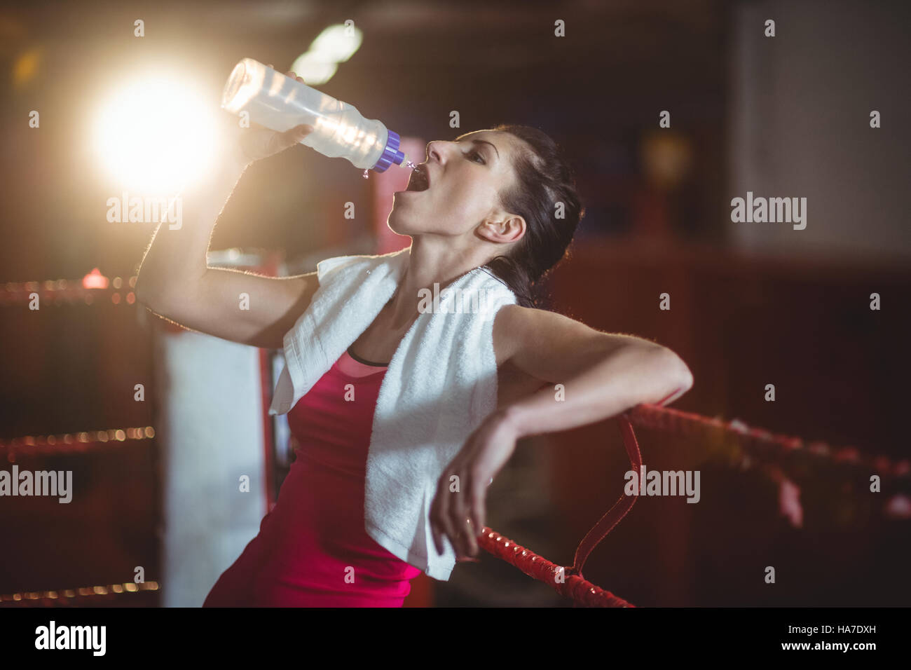 Female boxer drinking water in boxing ring Stock Photo - Alamy