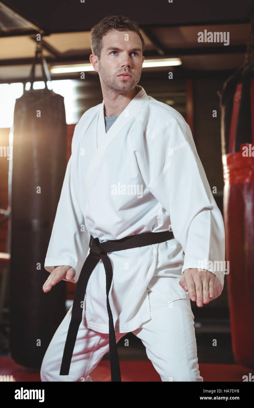 Karate player performing karate stance Stock Photo - Alamy