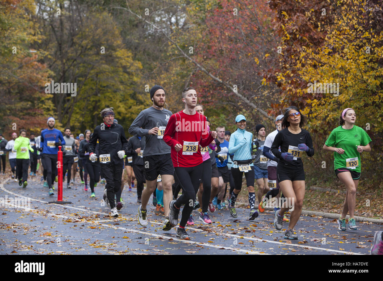 Diversity of trees and fall colors hi-res stock photography and images ...
