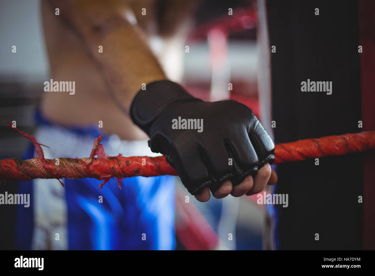 Boxer holding a rope Stock Photo - Alamy