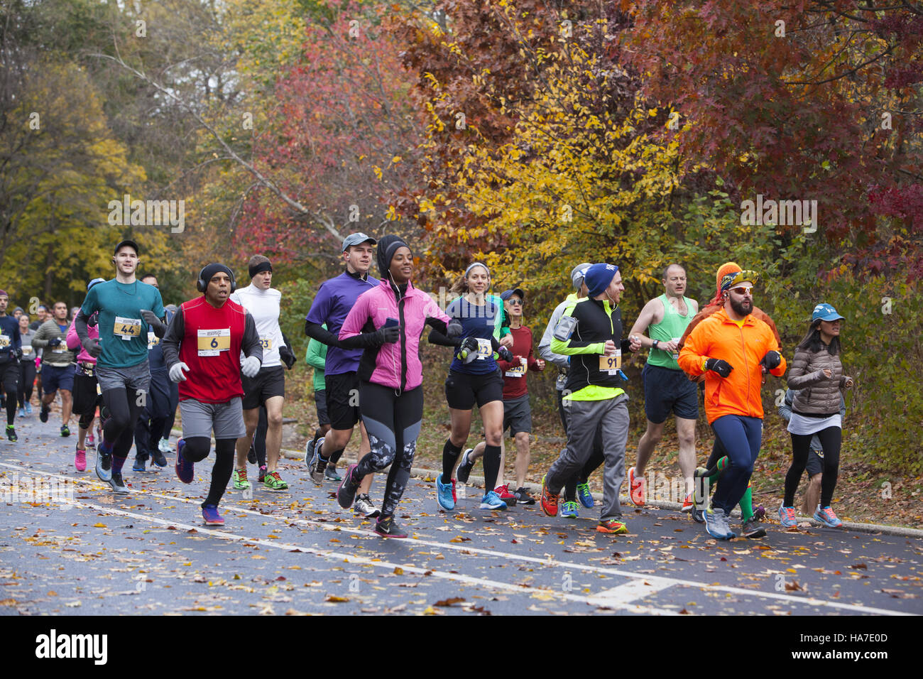 Diversity of trees and fall colors hi-res stock photography and images ...