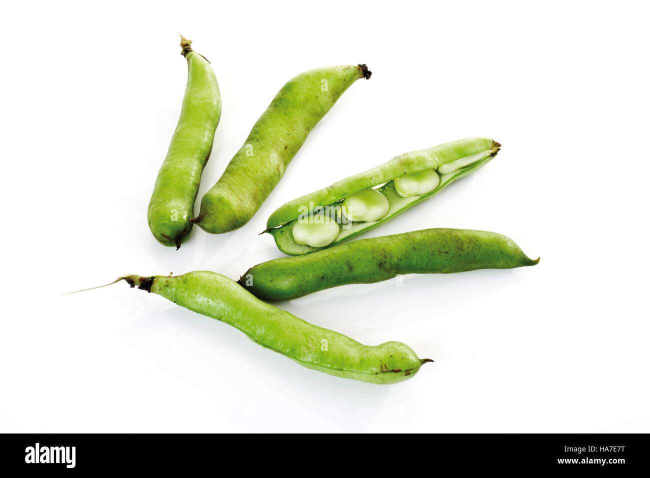 Broad Beans (Vicia faba), pods Stock Photo - Alamy