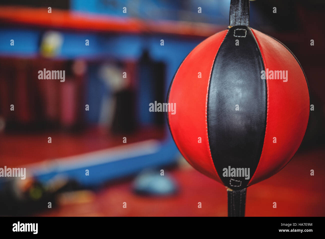 Boxing demonstration hi-res stock photography and images - Alamy