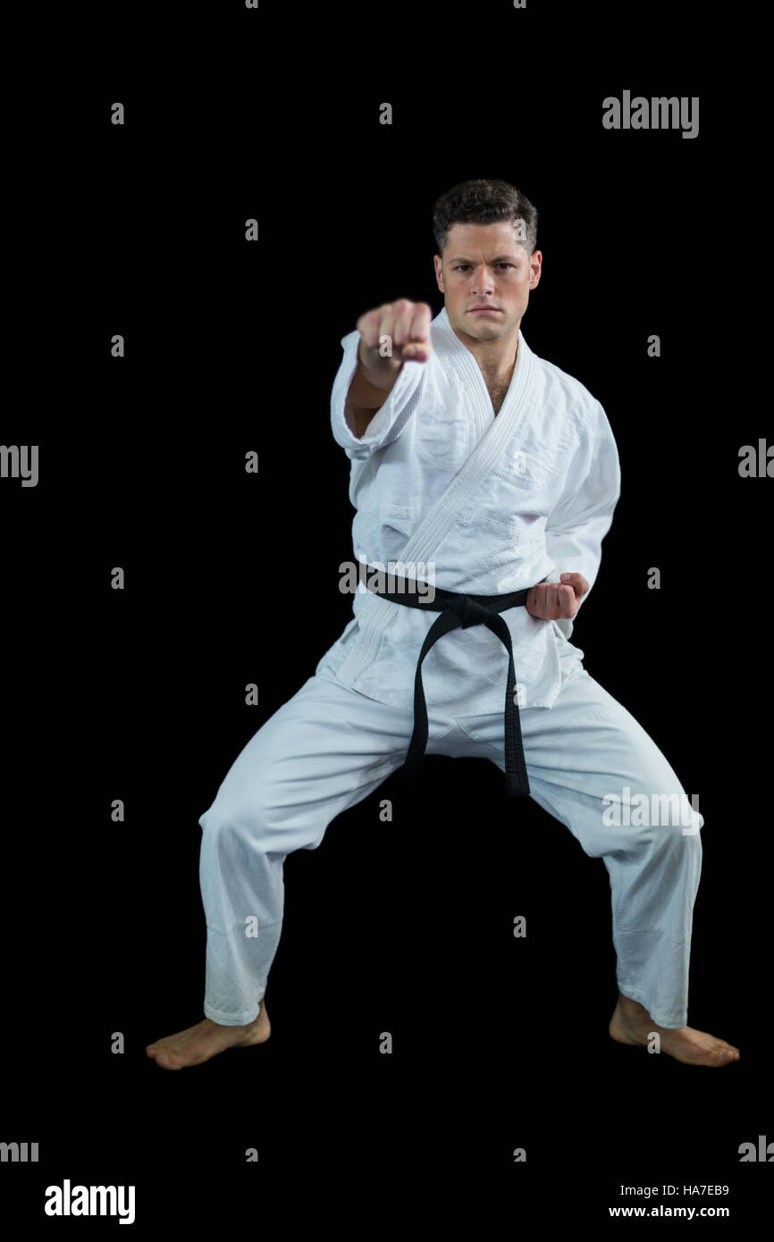 Karate player performing karate stance Stock Photo - Alamy