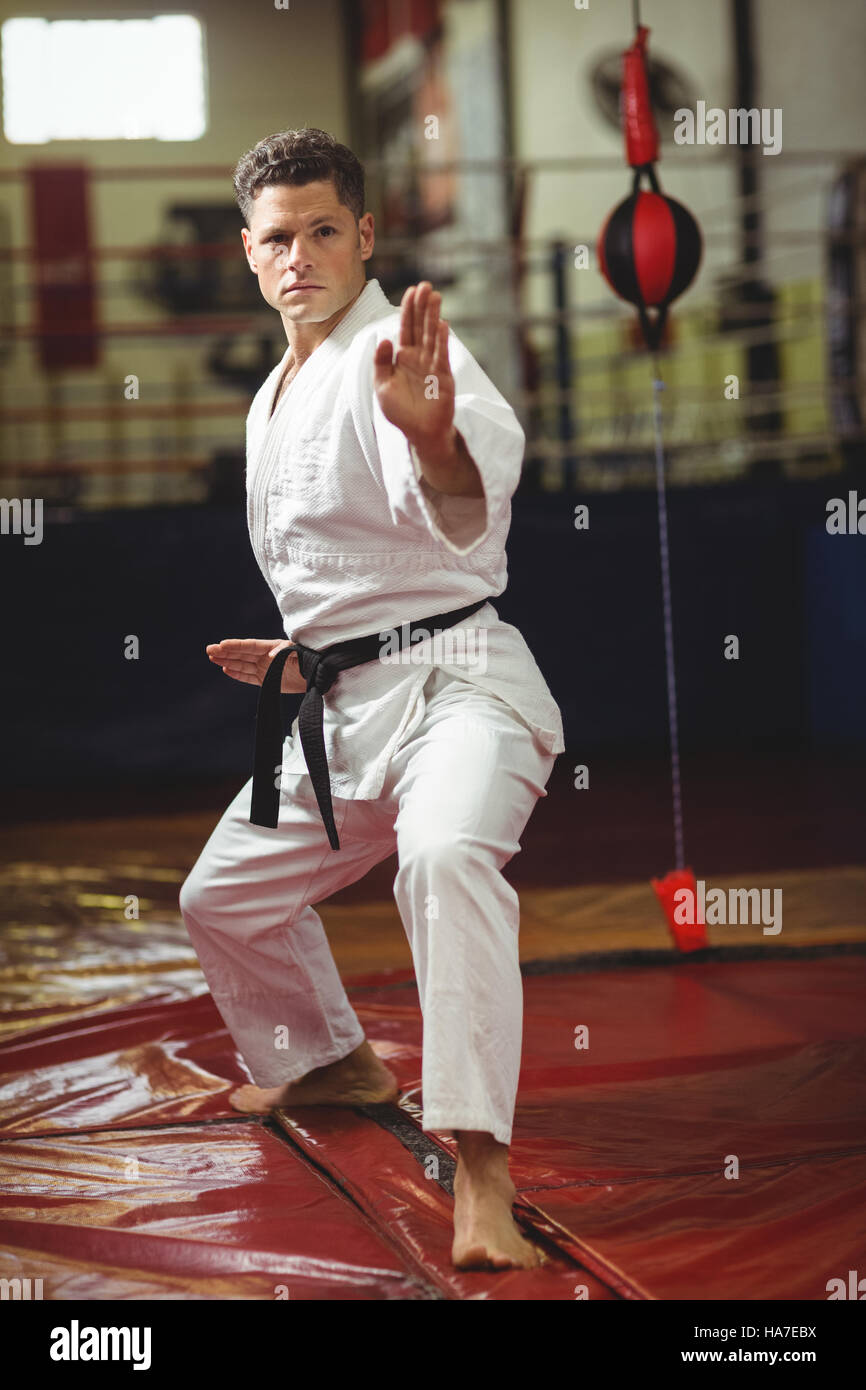 Karate player performing karate stance Stock Photo - Alamy
