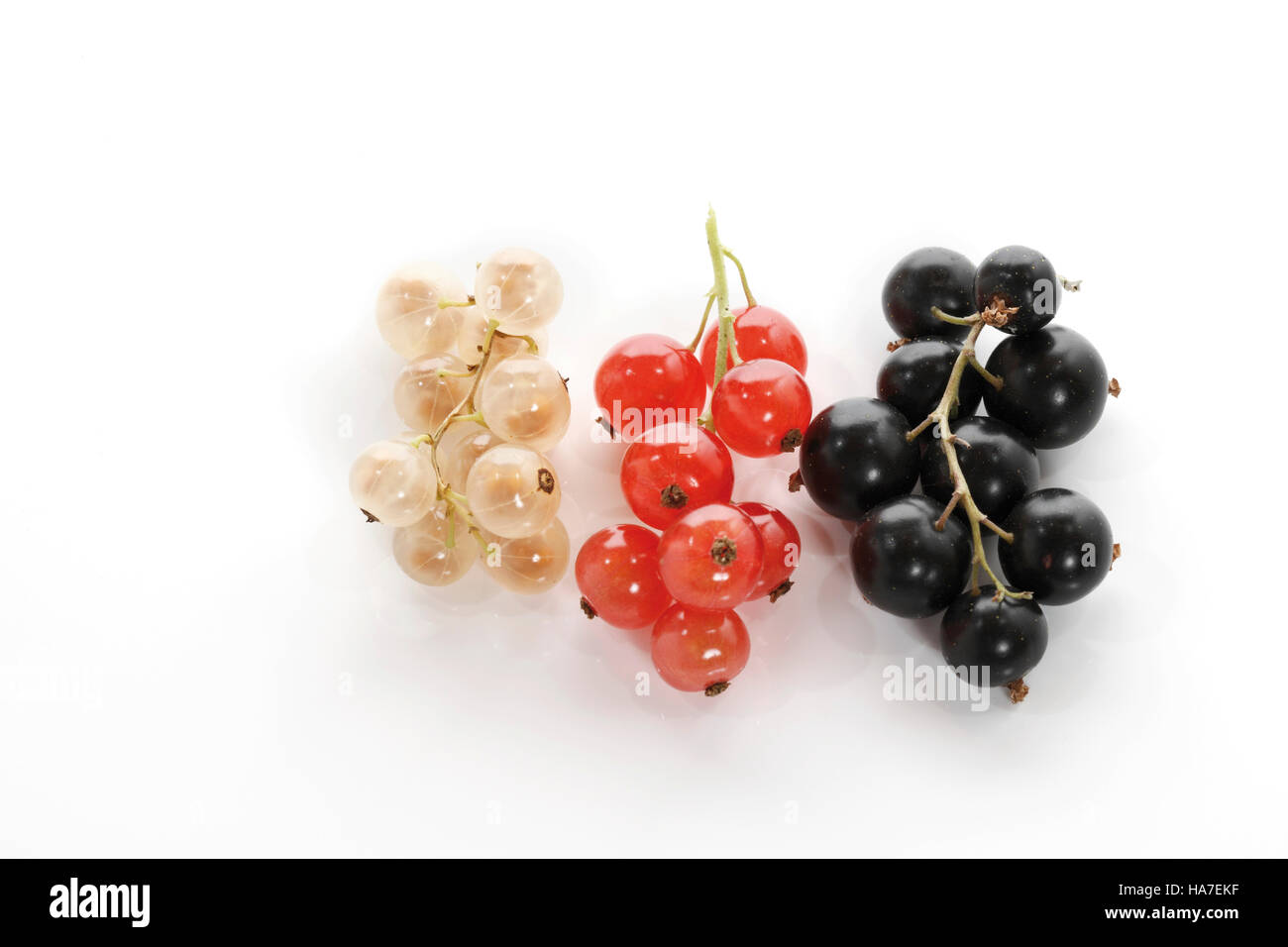 Red black currants in Cut Out Stock Images & Pictures - Alamy