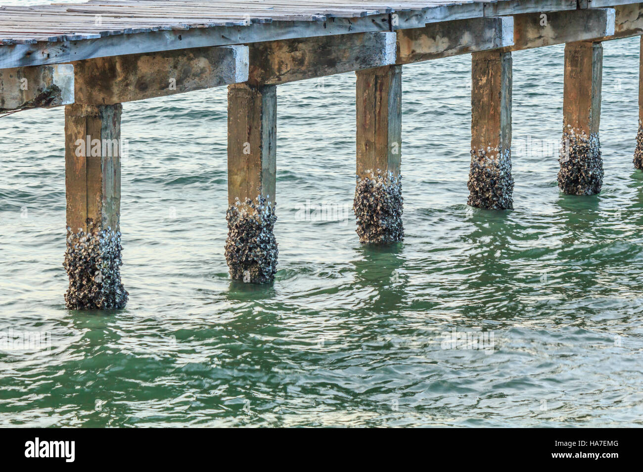 River shell background texture hi-res stock photography and images - Alamy