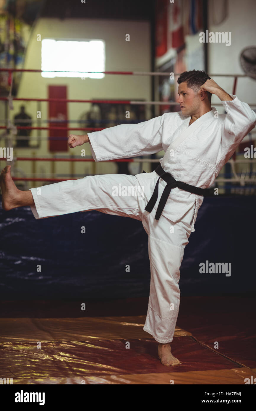 Karate player practicing karate stance Stock Photo - Alamy