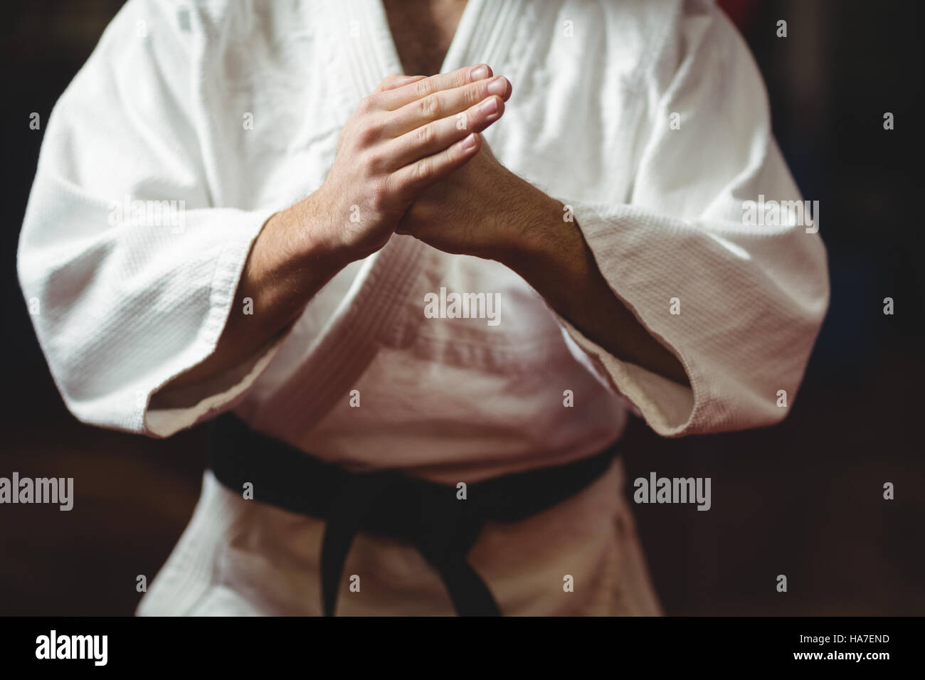 Karate player performing karate stance Stock Photo - Alamy