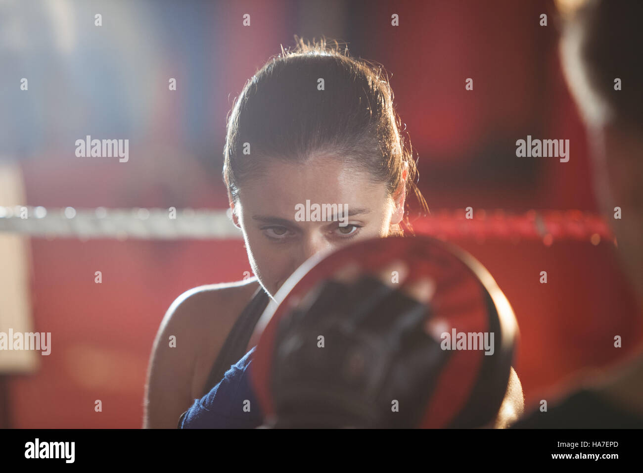 Female boxer practicing in the ring Stock Photo - Alamy