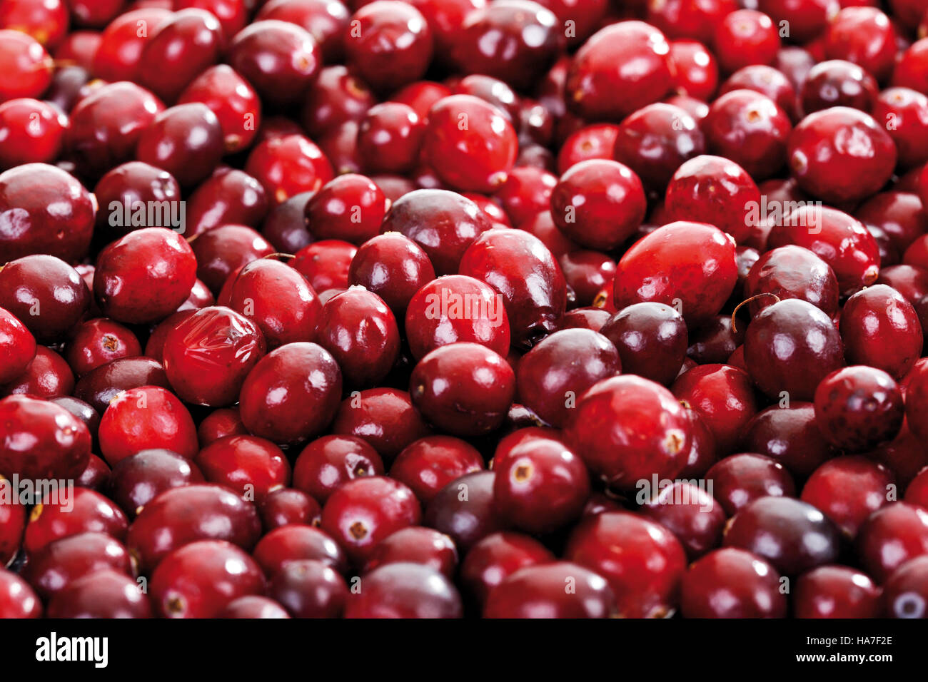 Cranberries, full frame Stock Photo - Alamy