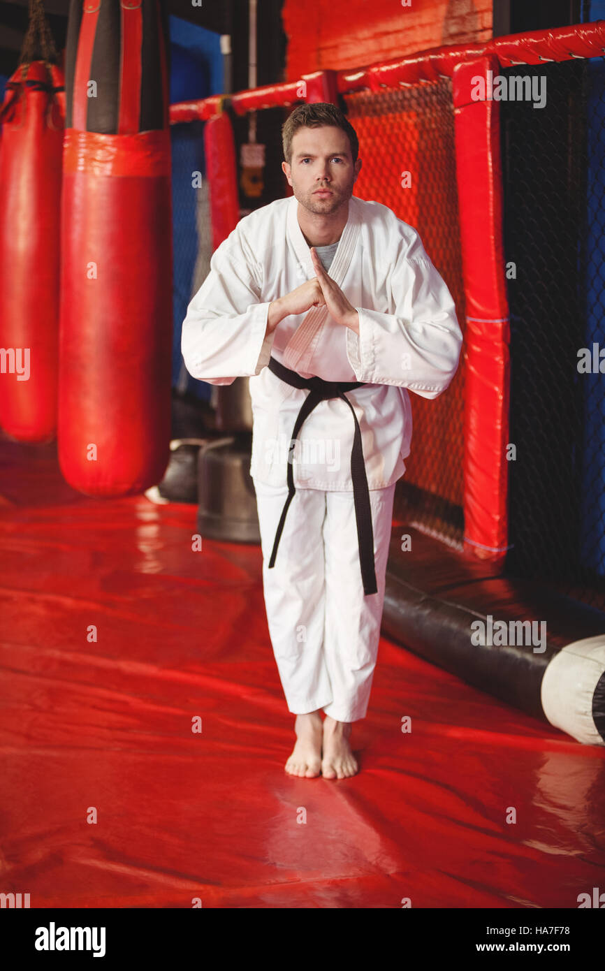 Karate player performing karate stance Stock Photo - Alamy