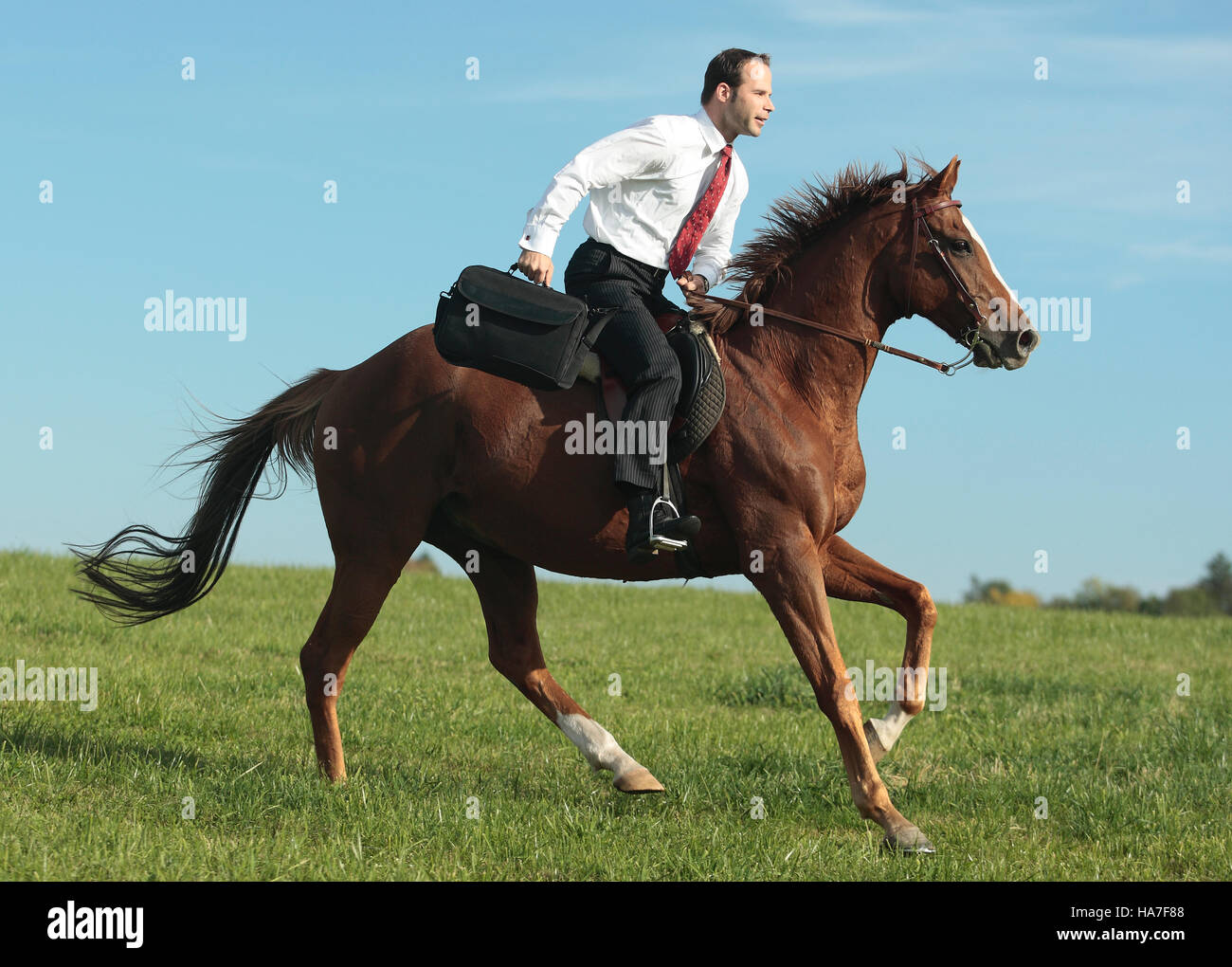 Businessman, manager with a bag, riding a horse Stock Photo - Alamy