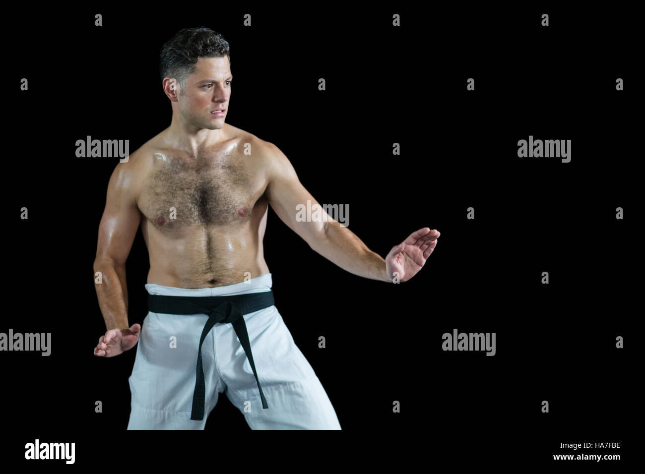 Karate fighter performing karate stance Stock Photo - Alamy