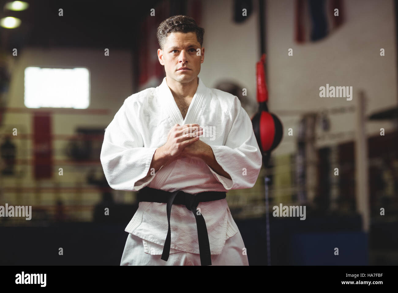 Karate player performing karate stance Stock Photo - Alamy