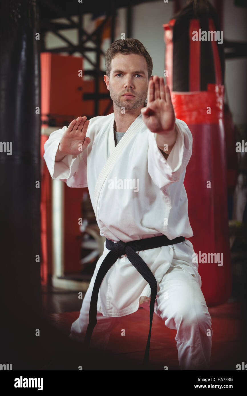 Karate player performing karate stance Stock Photo - Alamy