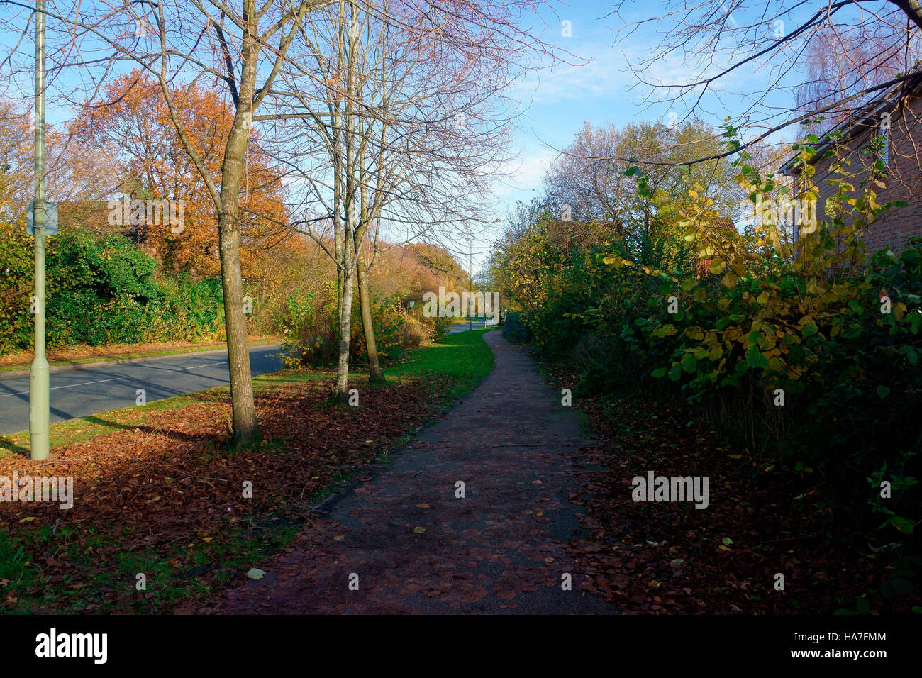 AUTUMN TREES, FOOTPATH TURNPIKE WAY, HEDGE END, SUN & SHADE Stock Photo ...