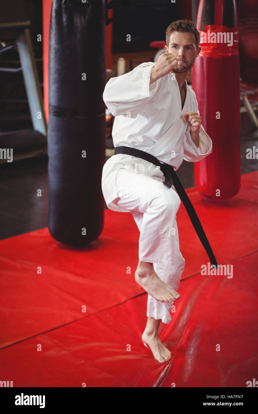 Karate player performing karate stance Stock Photo - Alamy