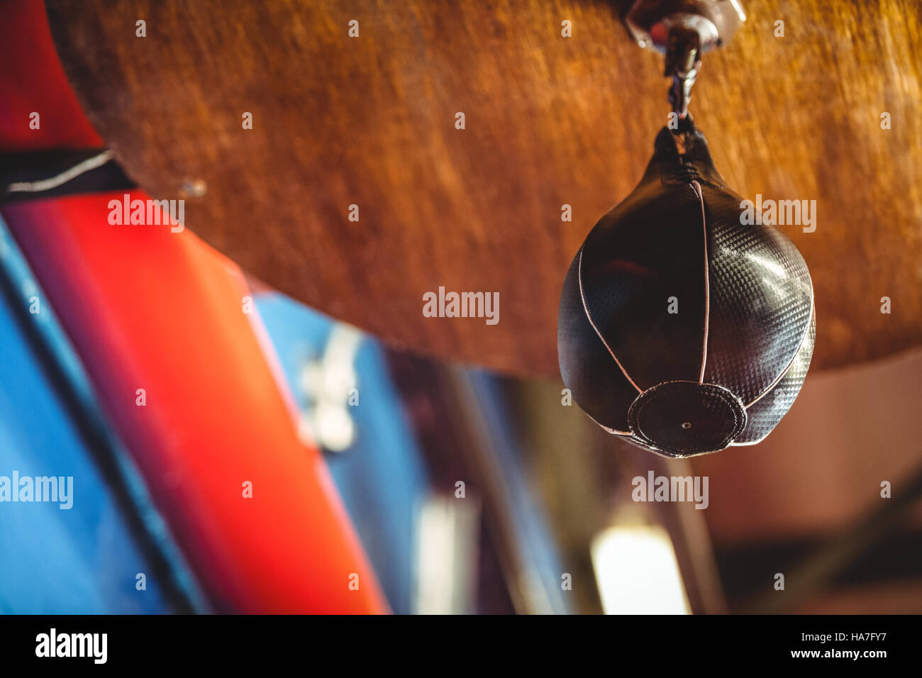 Boxing demonstration hi-res stock photography and images - Alamy