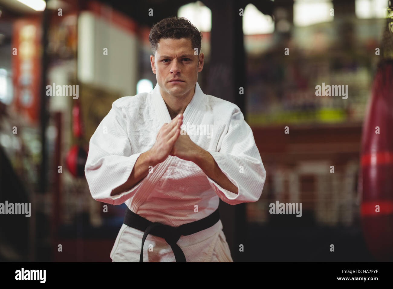 Karate player performing karate stance Stock Photo - Alamy