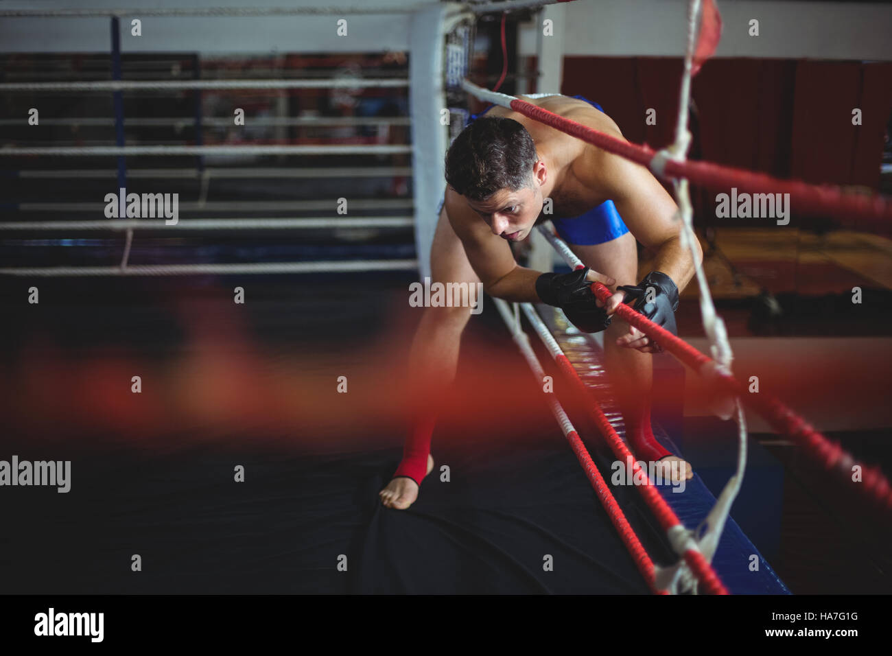 Boxer entering in boxing ring hi-res stock photography and images - Alamy