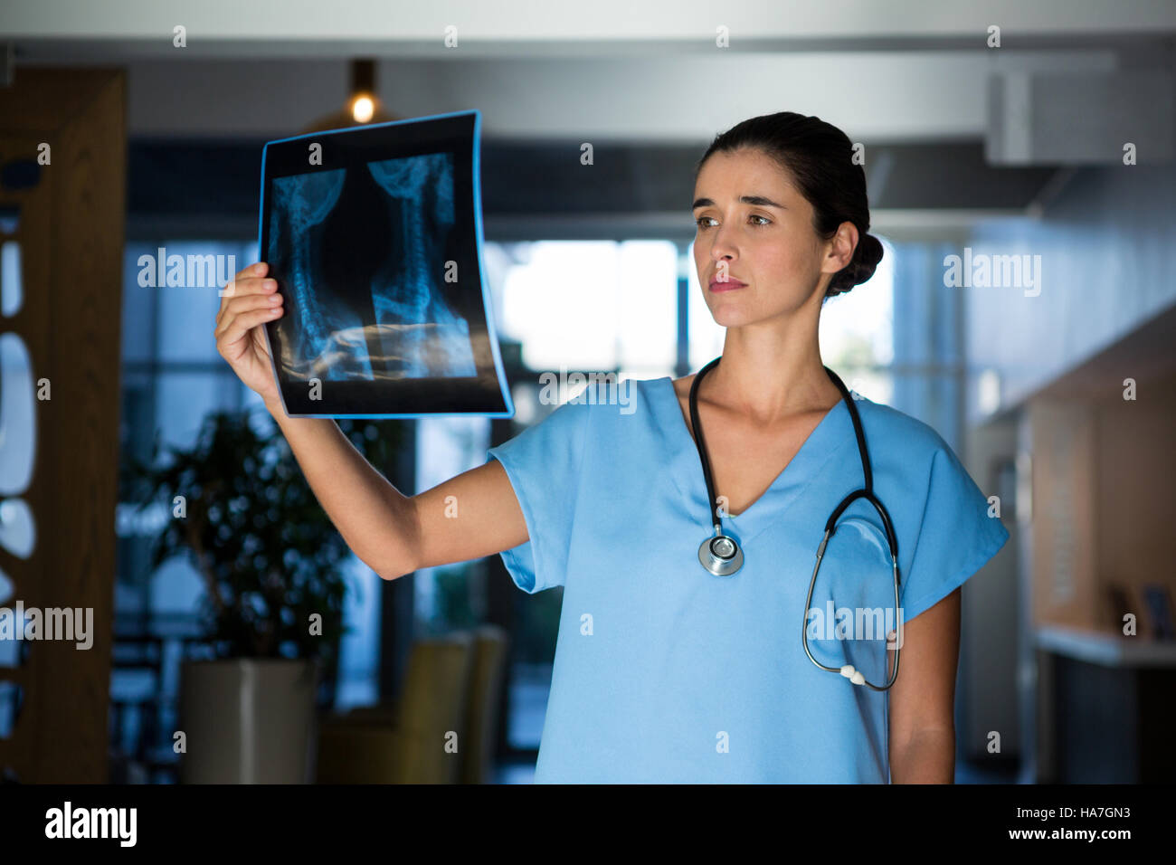 Female surgeon examining an x-ray report Stock Photo - Alamy