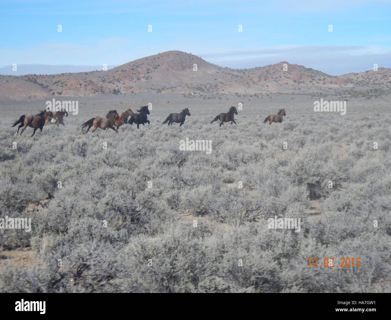 The Bureau of Land Management in Nevada oversees the preservation of ...