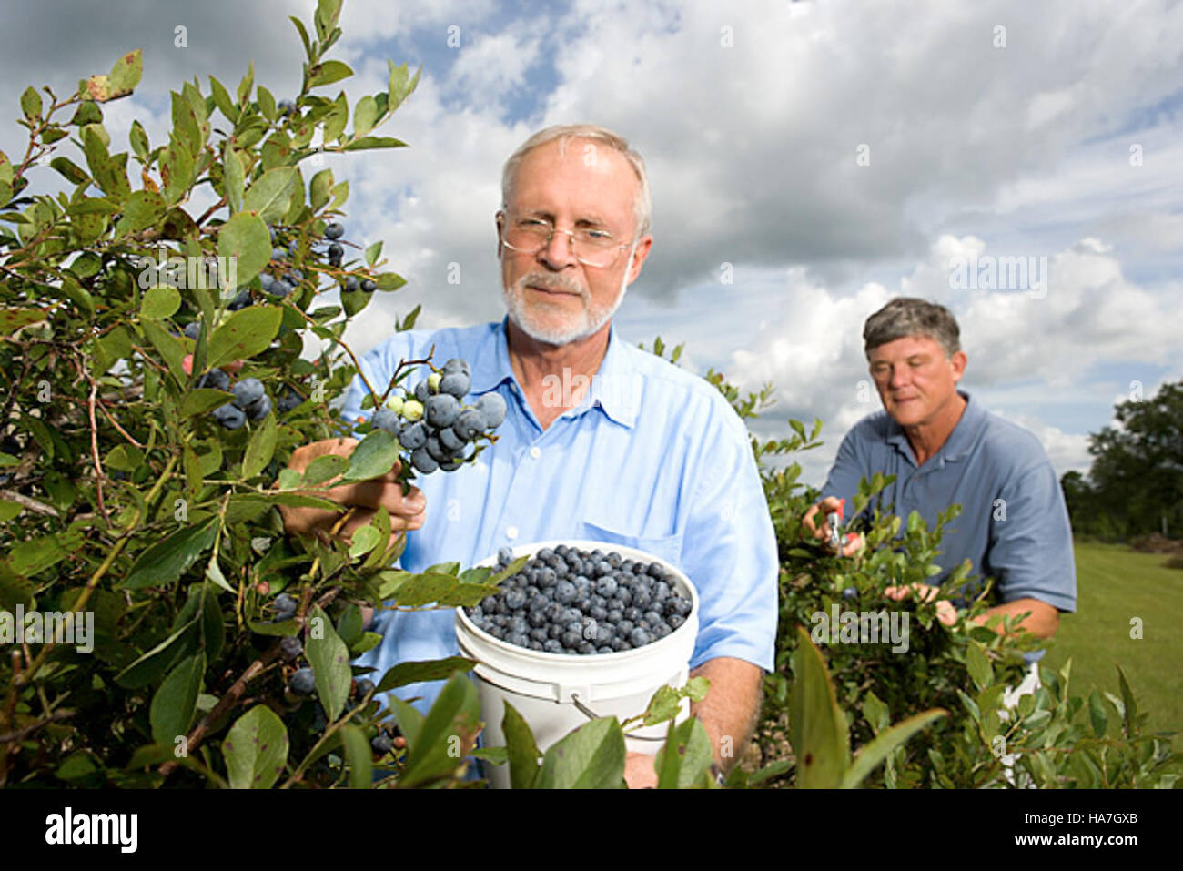 A visual representation of specialty crops grown in the U.S ...