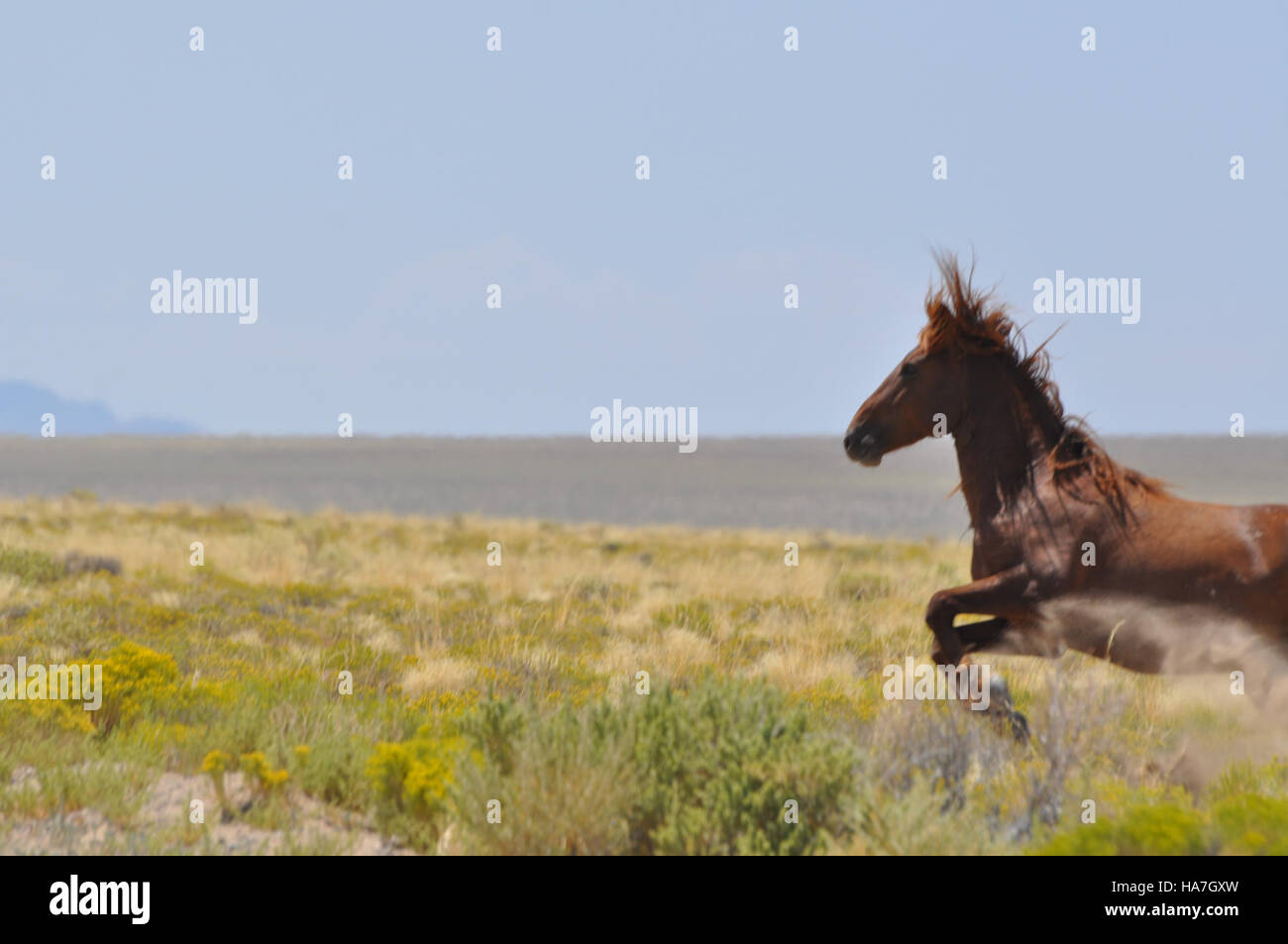 The Bureau of Land Management (BLM) Nevada oversees significant natural ...