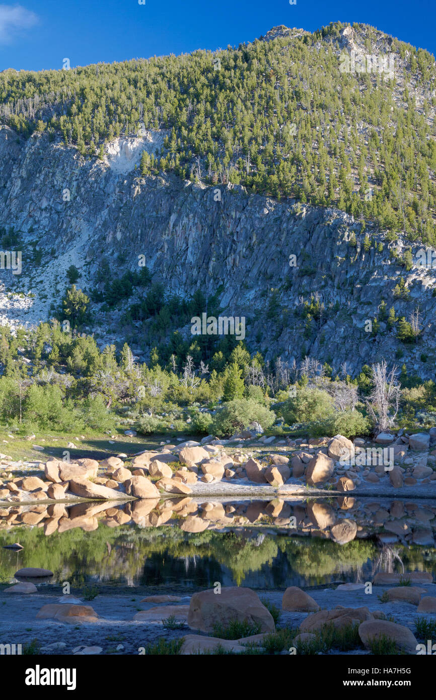 This image captures a view of the Pine Forest in Nevada, showcasing the ...