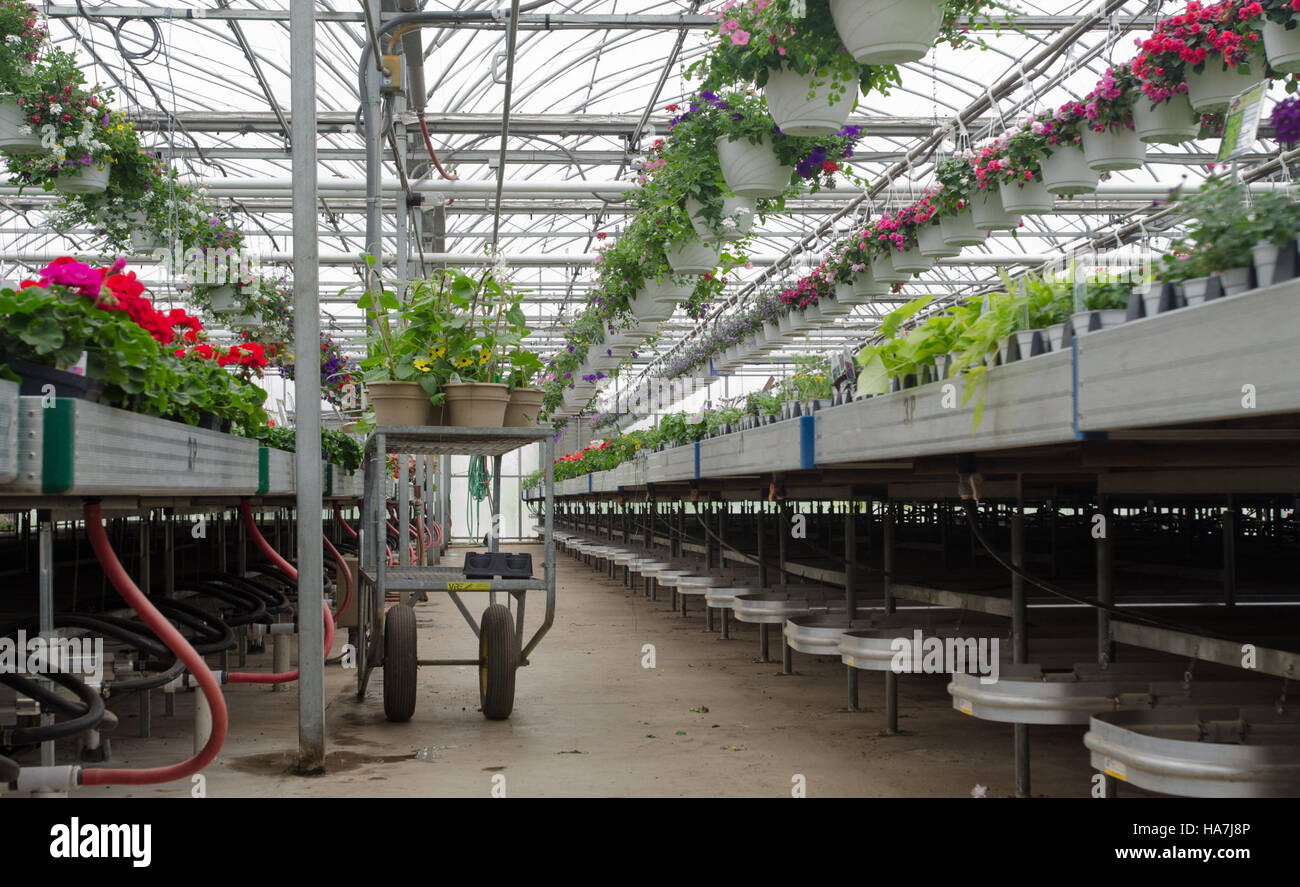 The USDA's Rural Energy for America Program (REAP) helps farms like ...