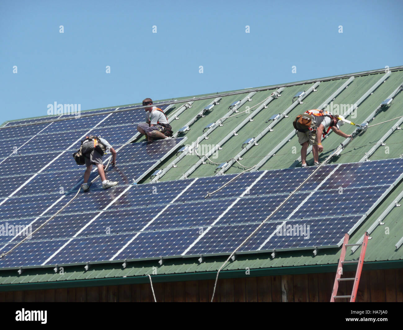 The USDA's Rural Energy for America Program (REAP) supports the ...