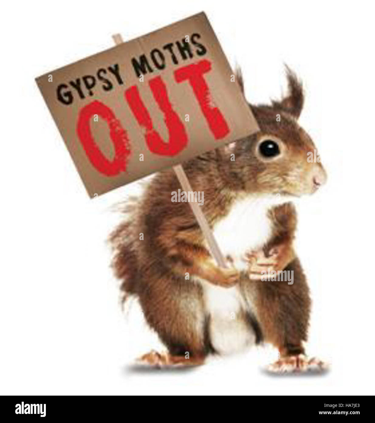 Invasive species management Cut Out Stock Images & Pictures - Alamy