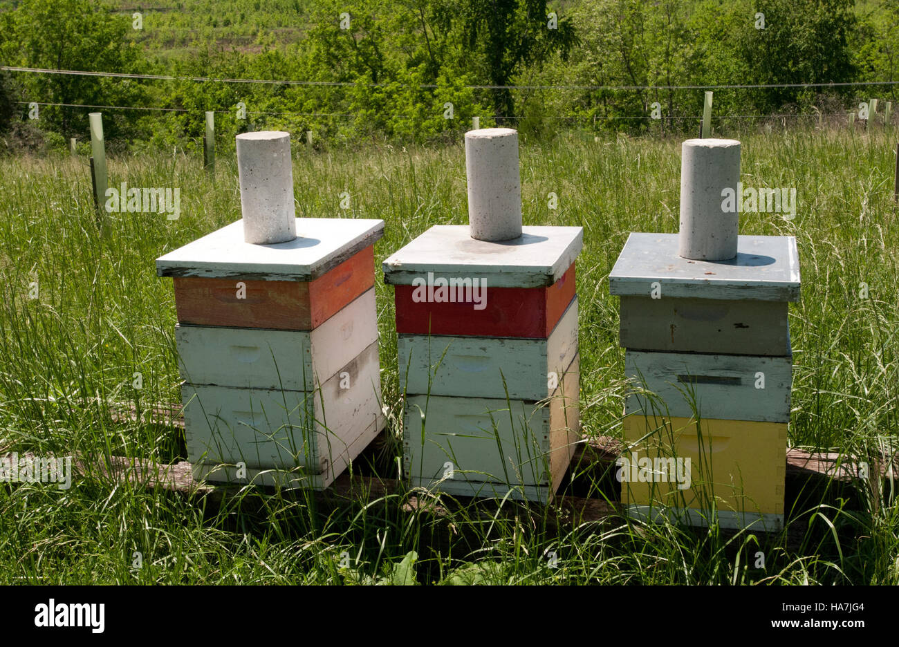 The Rural Energy for America Program (REAP) aids farms in adopting ...